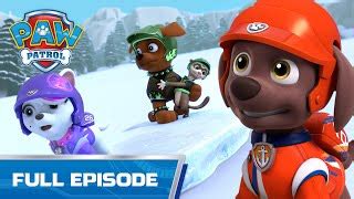 Pups Save The Lost Penguin Full Episode Season 11 Cartoons For
