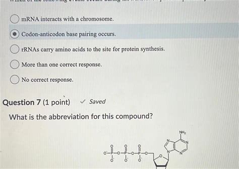 [answered] Mrna Interacts With A Chromosome Codon Anticodon Base Kunduz