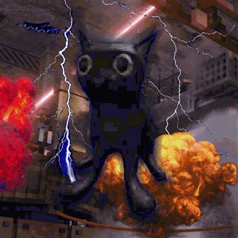 Jinx The Cat Jinx Cat  Jinx The Cat Jinx Cat Jinx Descobrir E