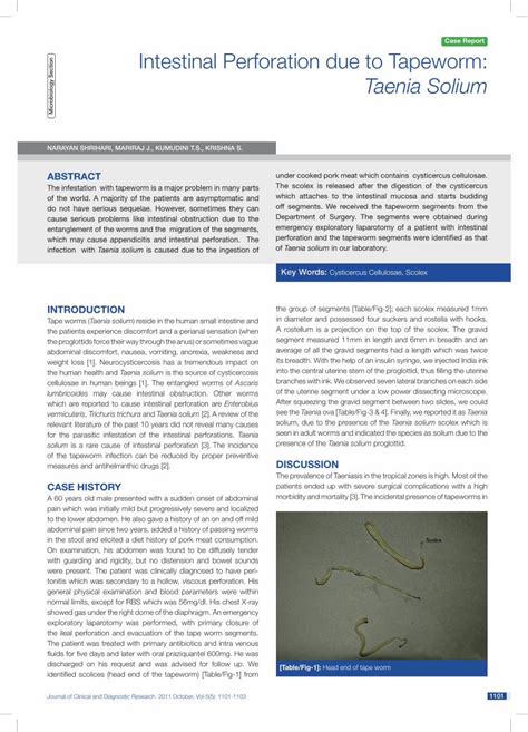 Pdf Intestinal Perforation Due To Tapeworm Microbiology Section