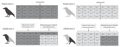 A Genetic Crow Search Algorithm For Optimization Of Operation