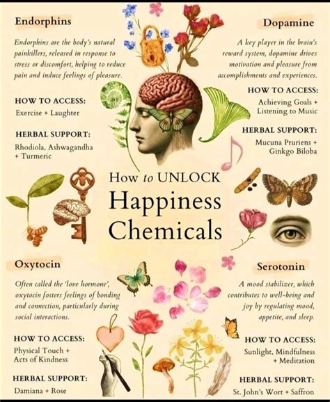 How To Boost Dopamine And Serotonin Nabeela Kanwal Posted On The Topic Linkedin