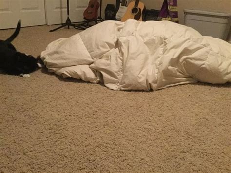 Pin By Mom ♡ On Xdad Bean Bag Chair Decor Kotatsu Table