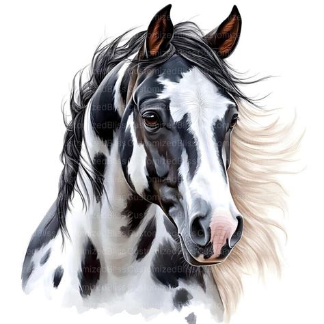 20 Paint Horse Clipart Horse Lovers Equine Clipart Horse Designs