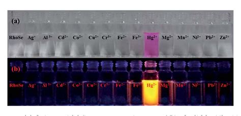 Figure 1 From A Rhodamine Based Chemosensor With Diphenylselenium For