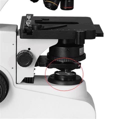 Simple Rotating Polarizer And Analyzer Kit For Compound Microscopes Boli Optics Microscope Store