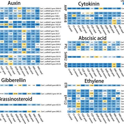 Expression Heatmap Of The Degs Involved In Plant Hormone Pathways