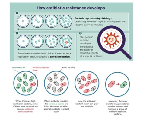 Antibacterial Drugs Flashcards Quizlet