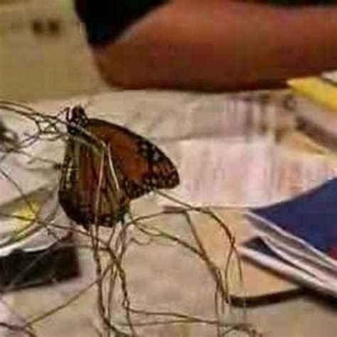 Terence Strobaugh Youtube