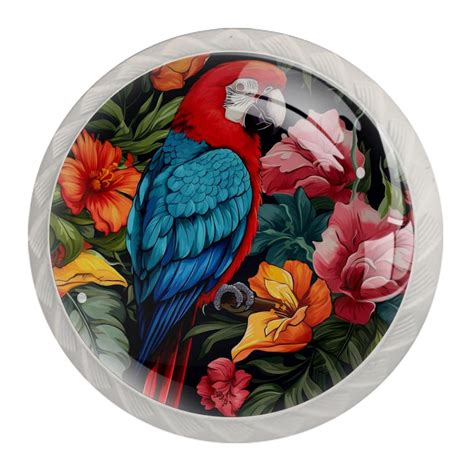 4 Pcs Parrot Knobs For Kitchen Cabinet Cupboard Dresser Bookcase Drawer