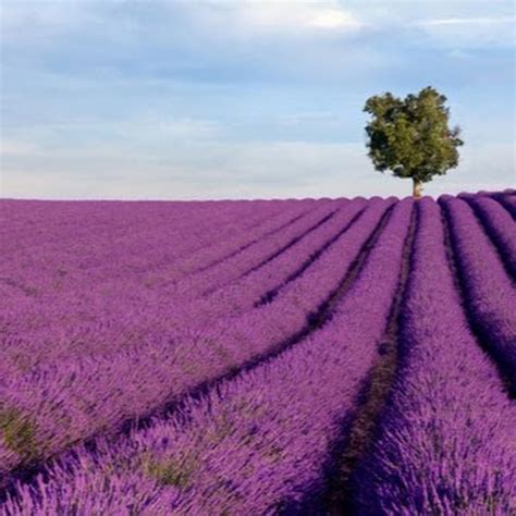 Cassie Davis Youtube