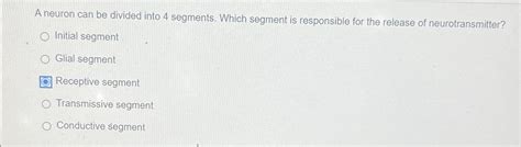 Solved A Neuron Can Be Divided Into 4 ﻿segments Which