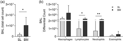 Bronchoalveolar Lavage Bal Analysis And Inflammatory Response To