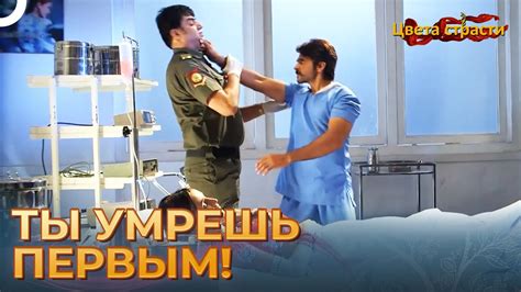 Пойман Человек Напавший на Паро Ранграсия YouTube