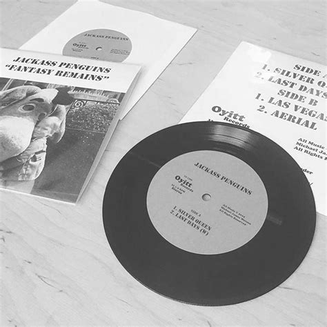Beevinyl 7 Inch Records