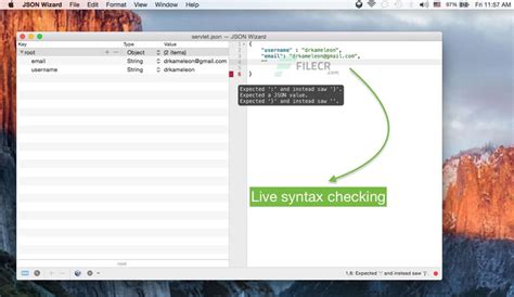 Json Wizard 16 For Macos Free Download Filecr