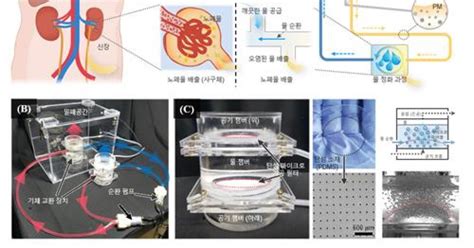 필터 교체 필요 없는 미세 버블 공기 정화 시스템 개발