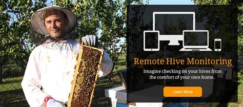 Remote Hive Monitoring Finance Blog Finance Advice Financial Health