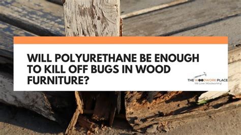 Will Polyurethane Be Enough To Kill Off Bugs In Wood Furniture