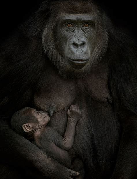 Group Workshop • Marina Cano