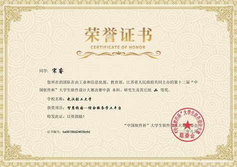 喜报！我校学子在“中国软件杯”大赛中获佳绩 武汉轻工大学新闻网