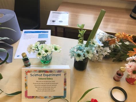 Science Week Experiments