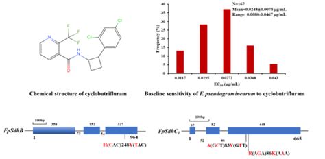 新型sdhi类杀菌剂三氟吡啶胺，其抗性风险和抗性分子机制研究有了突破性进展农化专利网