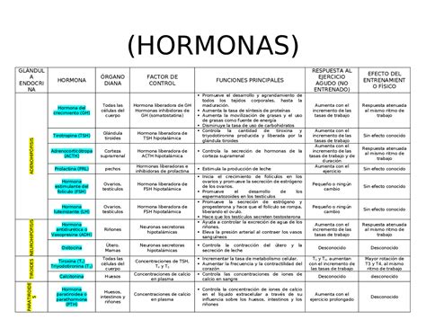 Cuadro Comparativo De Hormonas Docsity Images And Photos Finder