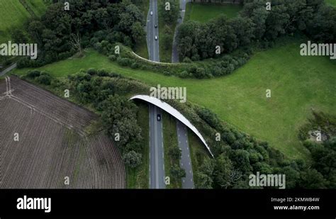 Migration Corridor Stock Videos And Footage Hd And 4k Video Clips Alamy