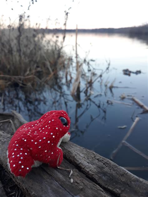 Frog Scouts Visit The River Rplushies
