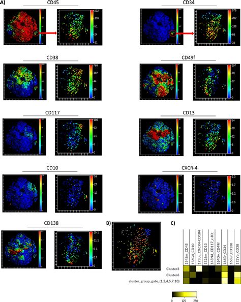 Application Of Mass Cytometry To Characterize Hematopoietic Stem Cells