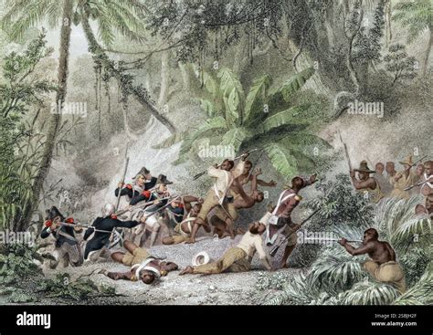 The Battle Of Ravine √† Couleuvres Fought On 23 February 1802 Was A