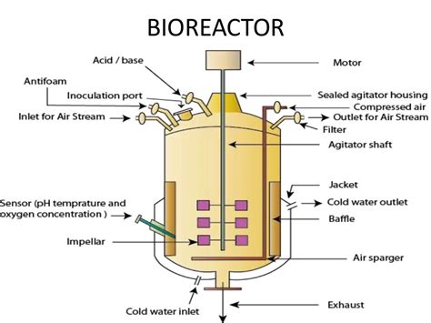 Bioreactor Copy