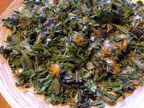 Katerinas Journal Herbal Supplement Mix For Puppies