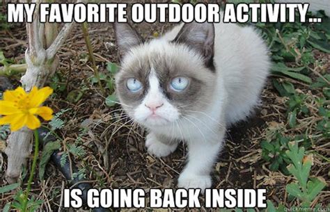 Grumpy Cat Quotes Quotesgram Grumpy Cat Quotes Quotesgram