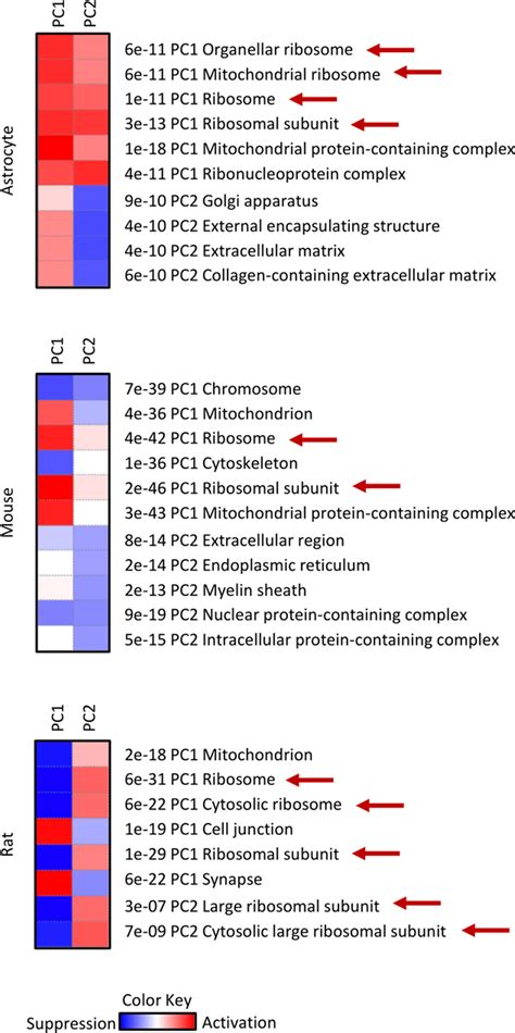 Pgsea Analysis Considering Go Cellular Component Gene Set Red Arrows