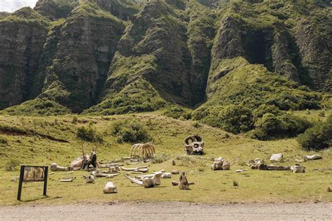 Jurassic Park Hawaii A Guide To Visiting Kualoa Ranch — Ckanani