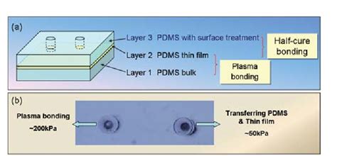 figure 2 from a simple method for fabricating multi layer pdms
