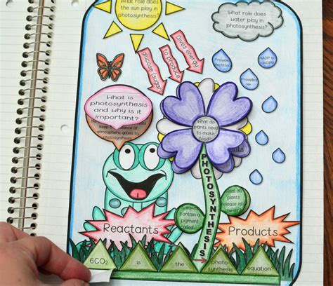 Science Interactive Notebook Cells Interactive Science Notebook Interactive Notebooks