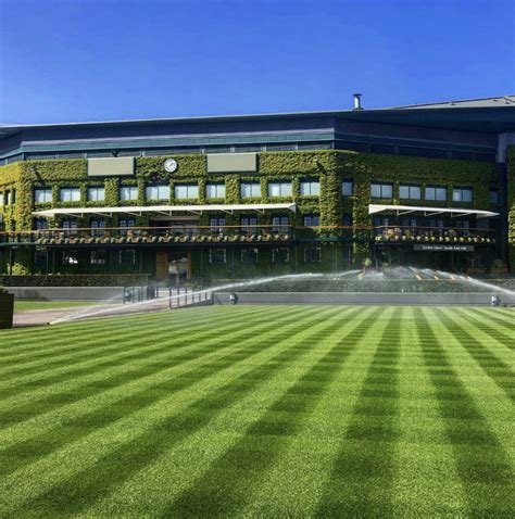 Mm50 Grass Seed Dwarf Rye 2 3 Working Days Delivery Green Care