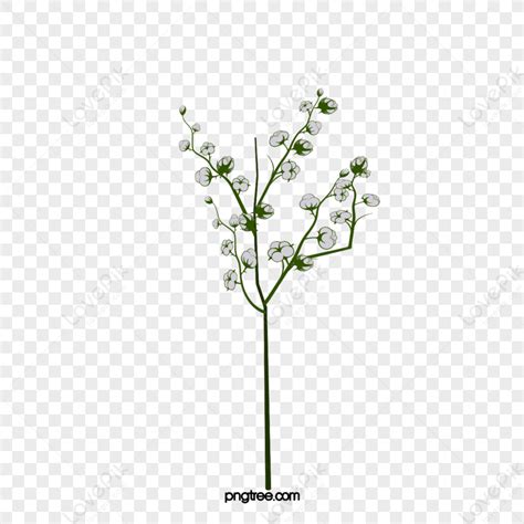 안개꽃 일러스트 꽃 소재창조적꽃꽂이꽃들 Png 일러스트 무료 다운로드 Lovepik
