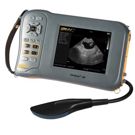 Pig Cow Pregnancy Test Handheld Ultrasound Scanner Systems L60 Bmv