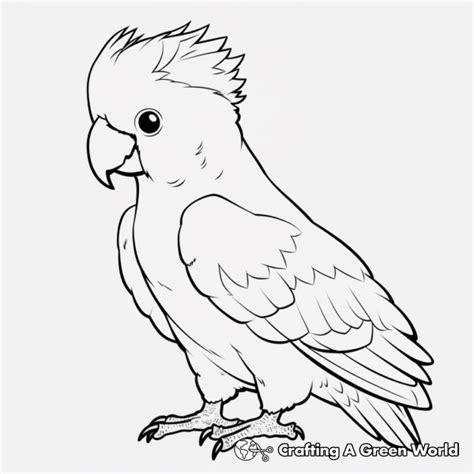 Cockatoo Coloring Pages Free And Printable