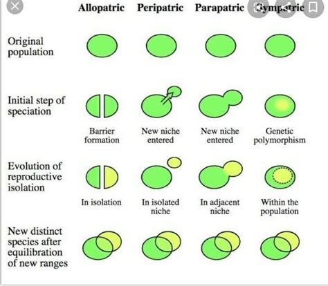 What Is Speciationclass 10