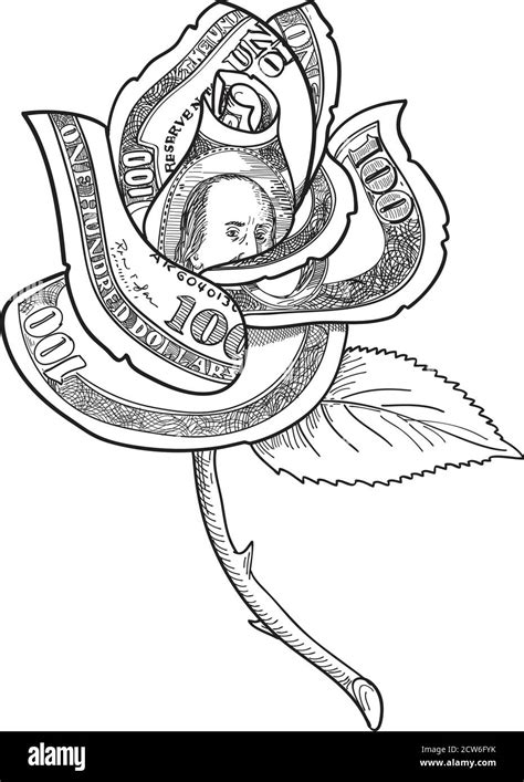 How To Draw A Money Rose