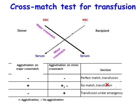 Haematology Ppt Download