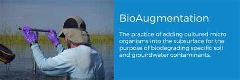 Bioaugmentation