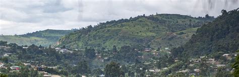 Implementing Sars Cov 2 Testing During A Large Scale Sporting Event In