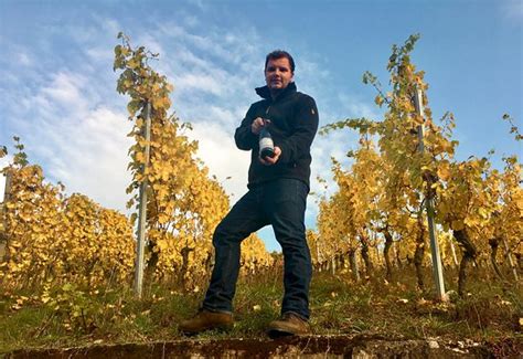 Weingut Arns Reil Alemania Opiniones Y Comentarios Bandb Tripadvisor