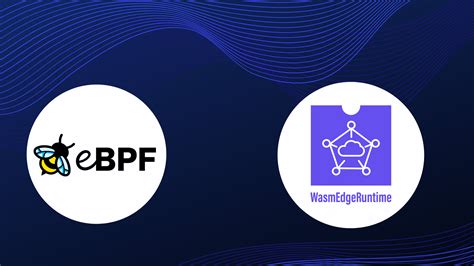 Ebpf And Webassembly Whose Vm Reigns Supreme